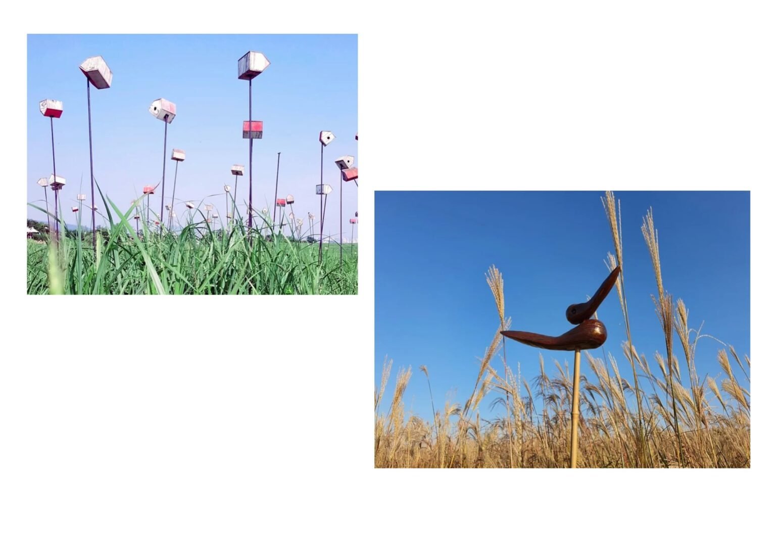 The Ultimate Travel Guide to Haneul Park in 2025 | Unravel Korea